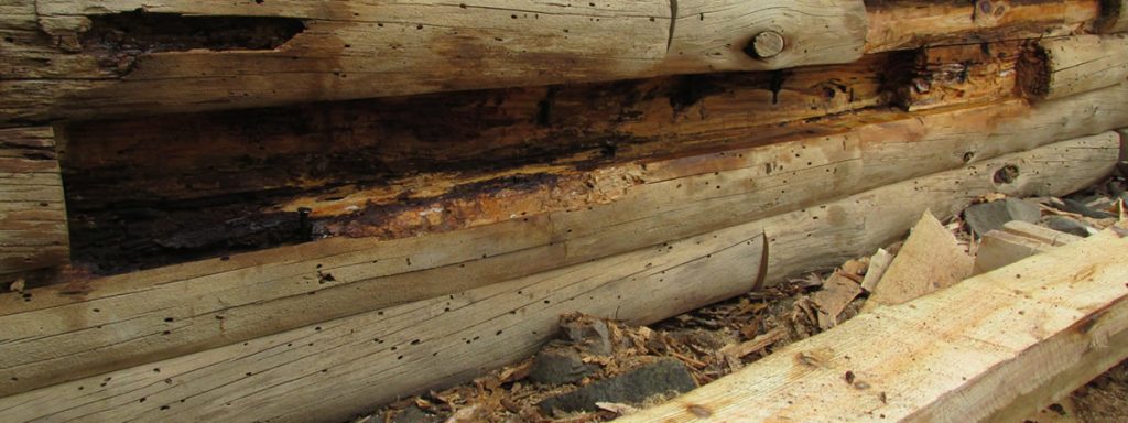 Wood restoration information for deck, log, cedar and redwood home owners